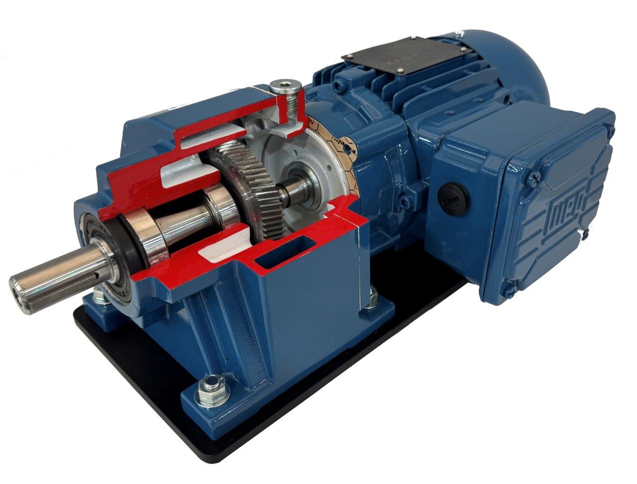 WEG gear motor cutaway displays