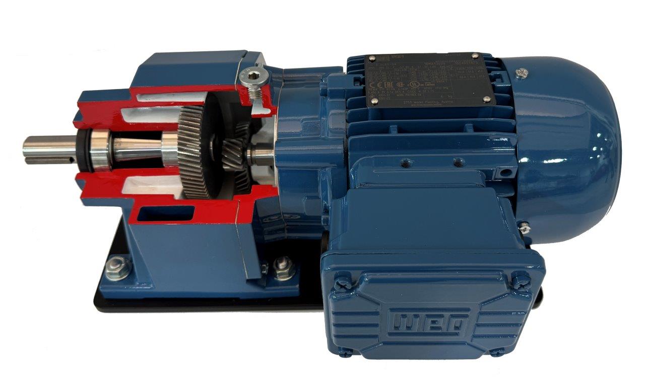 WEG gear motor cutaway displays