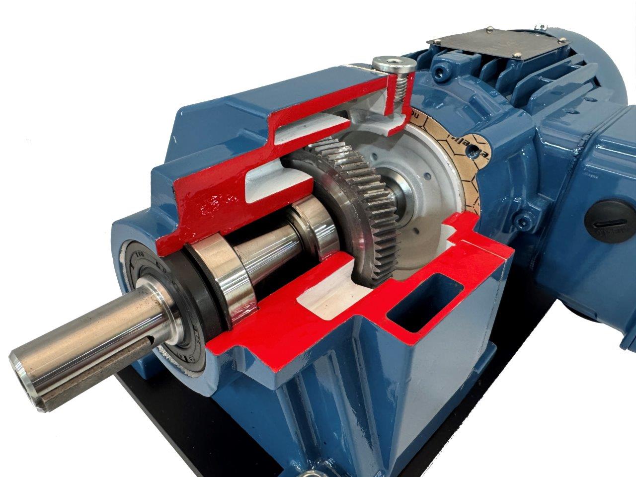 WEG gear motor cutaway displays